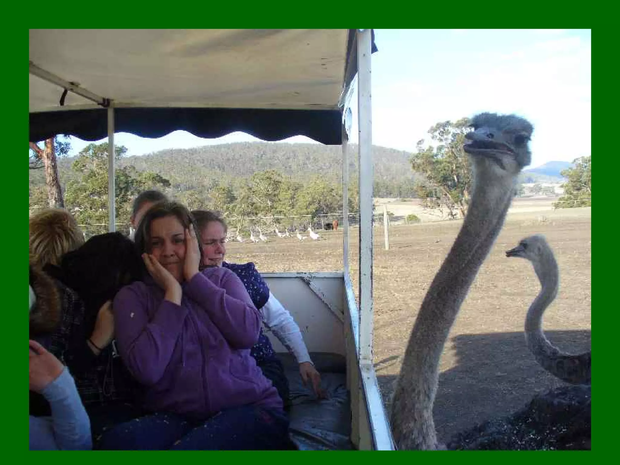 Zoo Doo Wildlife Park | PPT