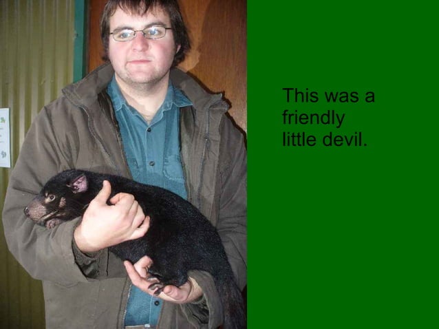 Zoo Doo Wildlife Park | PPT