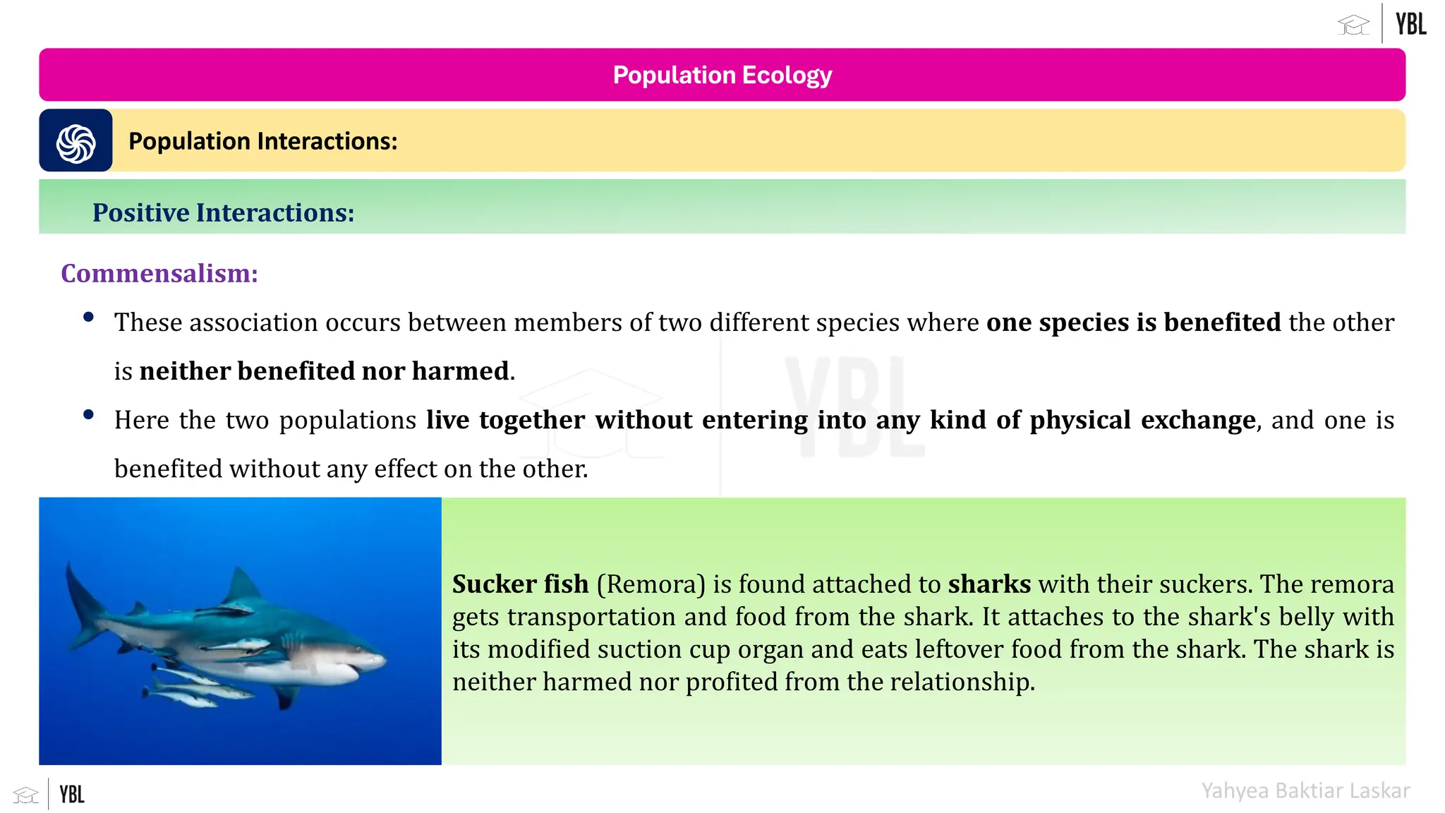 Introduction to Population Ecology and different aspects of a ...