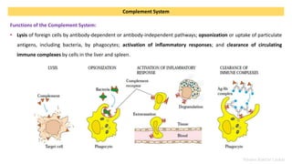 Working of Immune System, Antigen Presentation, and the Complement ...