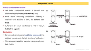 Working of Immune System, Antigen Presentation, and the Complement System | PPTX