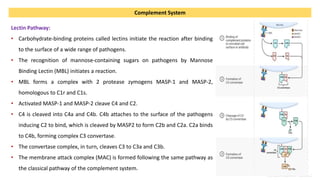 Working of Immune System, Antigen Presentation, and the Complement ...