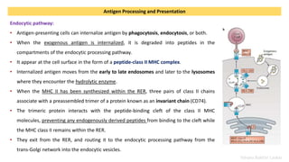 Working of Immune System, Antigen Presentation, and the Complement ...