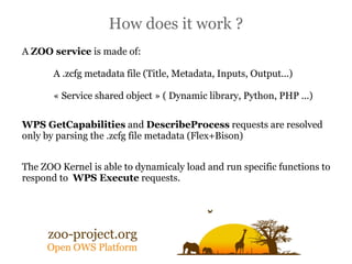 Zoo First Presentation | PDF
