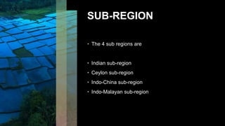 Zoogeographical regions In the World.pptx