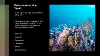 Zoogeographical regions In the World.pptx