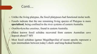 Distribution of Marsupials and Monotremes in Six Regions and Emphasize ...