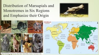 Distribution of Marsupials and Monotremes in Six Regions and Emphasize ...