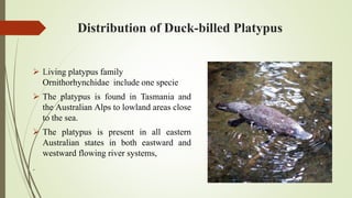 Distribution of Marsupials and Monotremes in Six Regions and Emphasize ...
