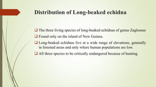 Distribution of Marsupials and Monotremes in Six Regions and Emphasize ...