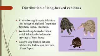 Distribution of Marsupials and Monotremes in Six Regions and Emphasize ...