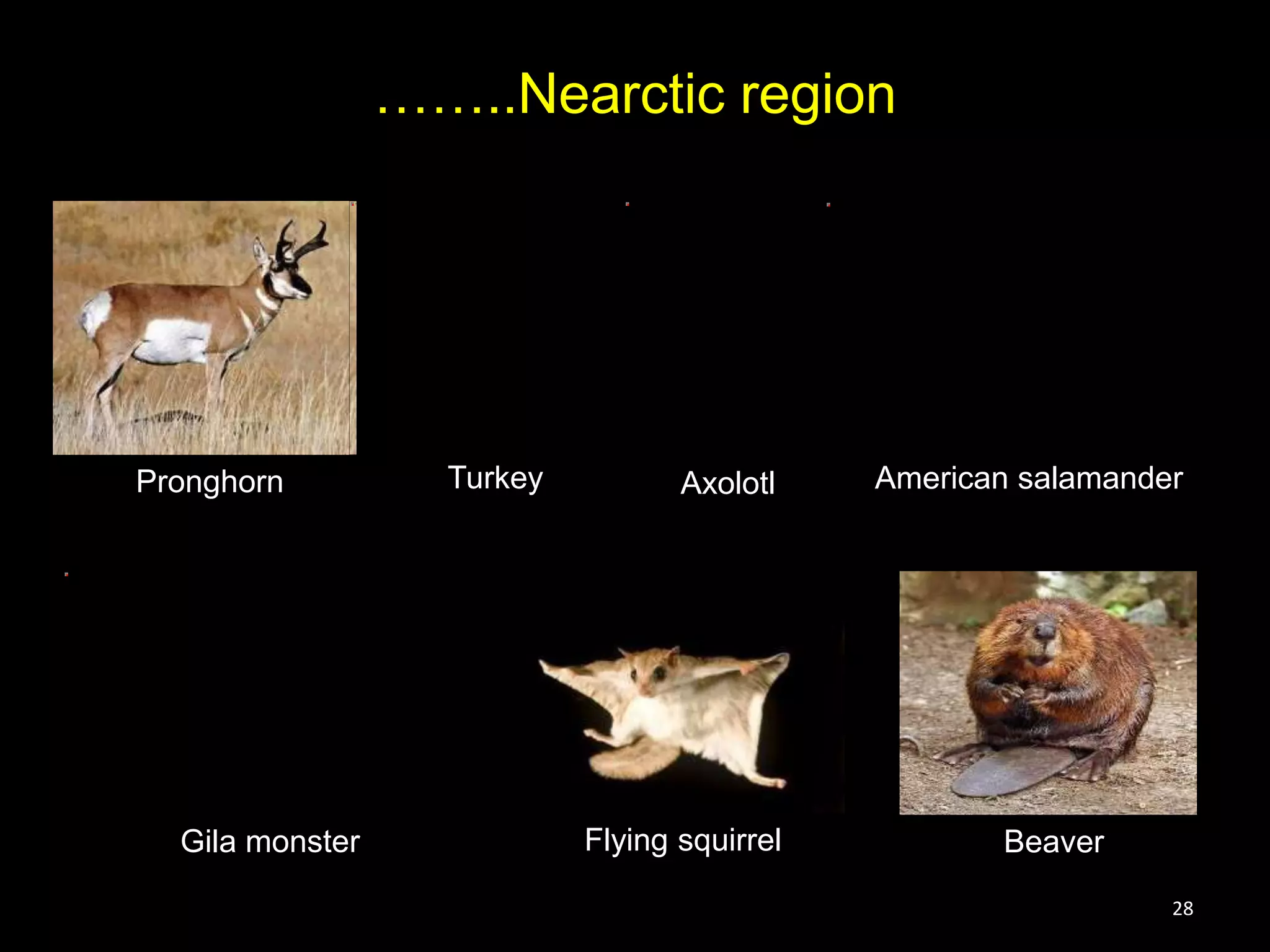 ZOOGEOGRAPHY | PPTX