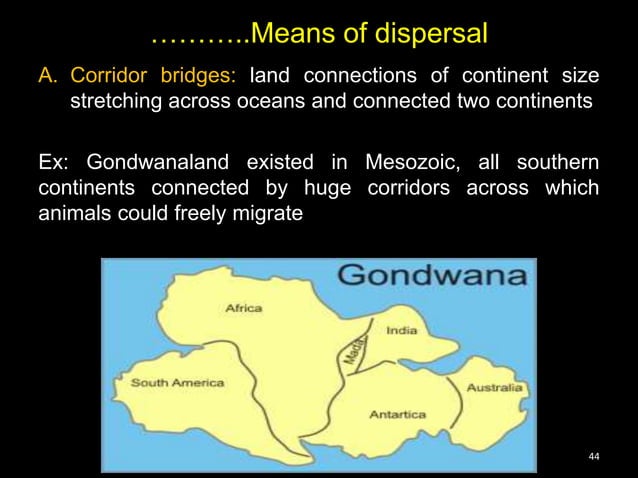 ZOOGEOGRAPHY | PPTX | Geology | Science
