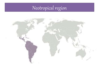 zoogeographyandfactorsaffectinganimaldistribution-170514082409.pdf ...