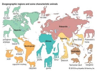 Zoogeography and factors affecting animal distribution | PPTX