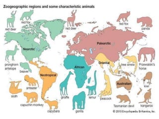 Zoogeography and factors affecting animal distribution | PPSX