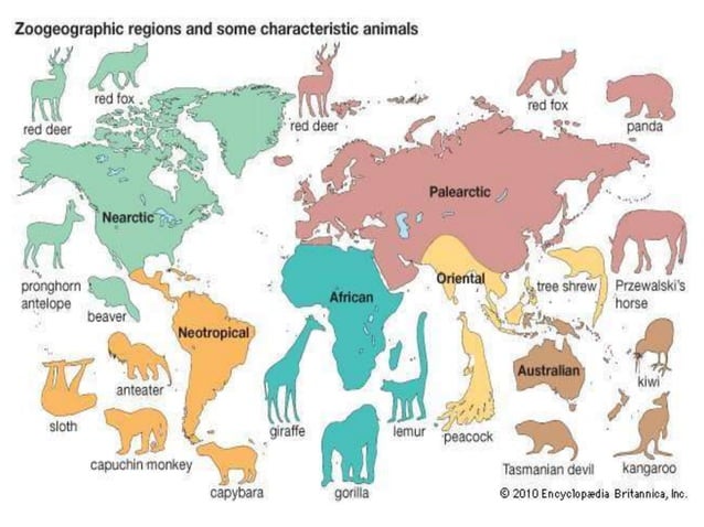 Zoogeography and factors affecting animal distribution | PPSX | Africa ...