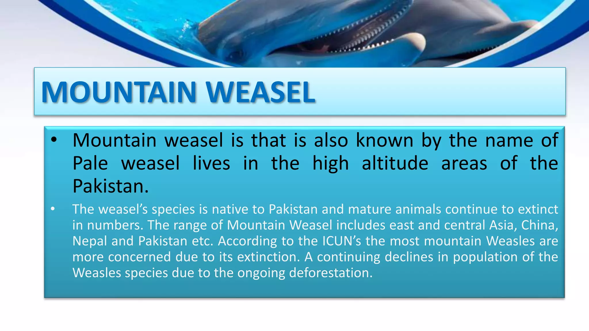 ENDANGERED AND EXTINCT SPECIES IN PAKISTAN | PPTX