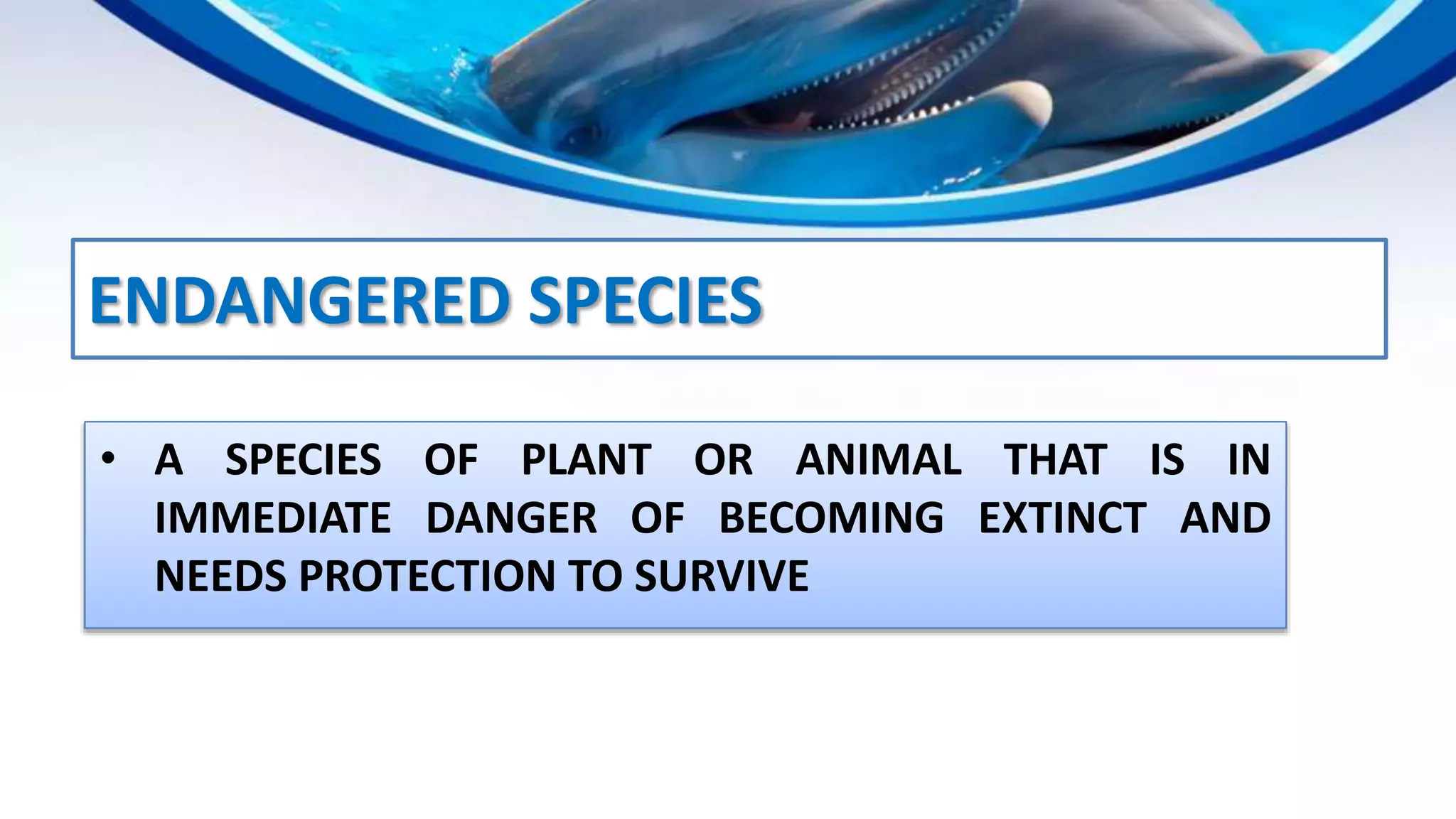 ENDANGERED AND EXTINCT SPECIES IN PAKISTAN | PPTX
