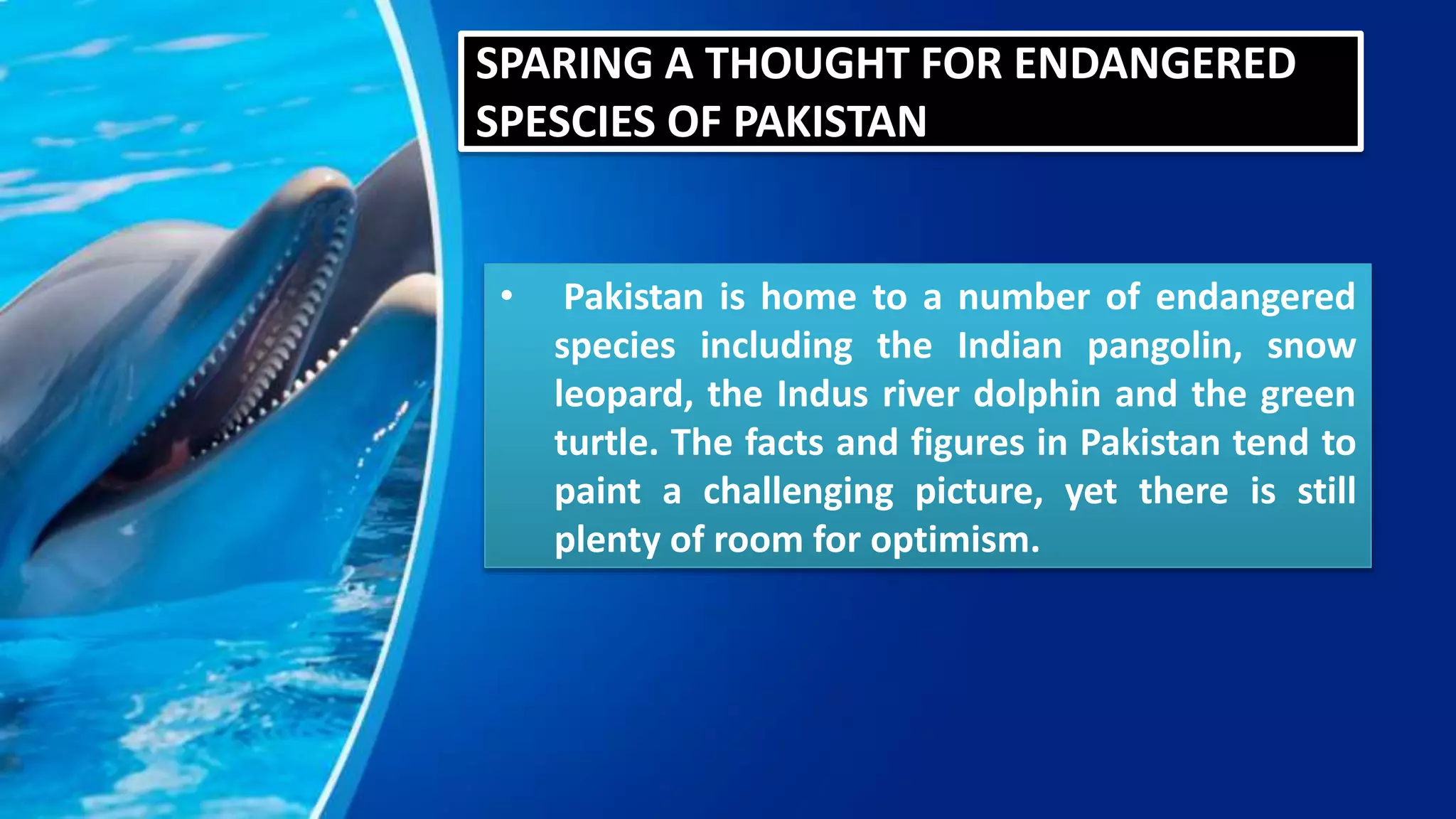 ENDANGERED AND EXTINCT SPECIES IN PAKISTAN | PPTX