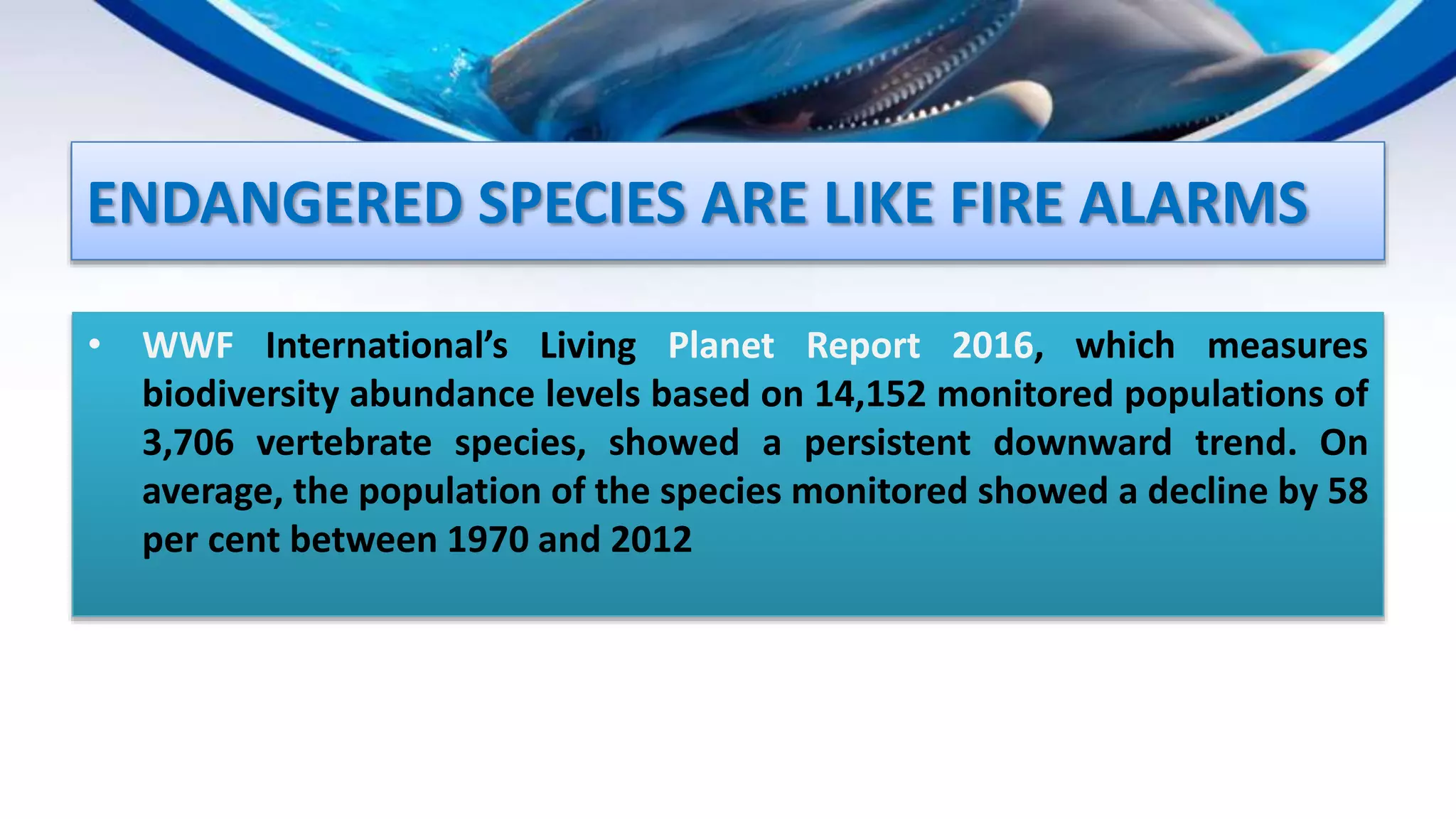 ENDANGERED AND EXTINCT SPECIES IN PAKISTAN | PPTX