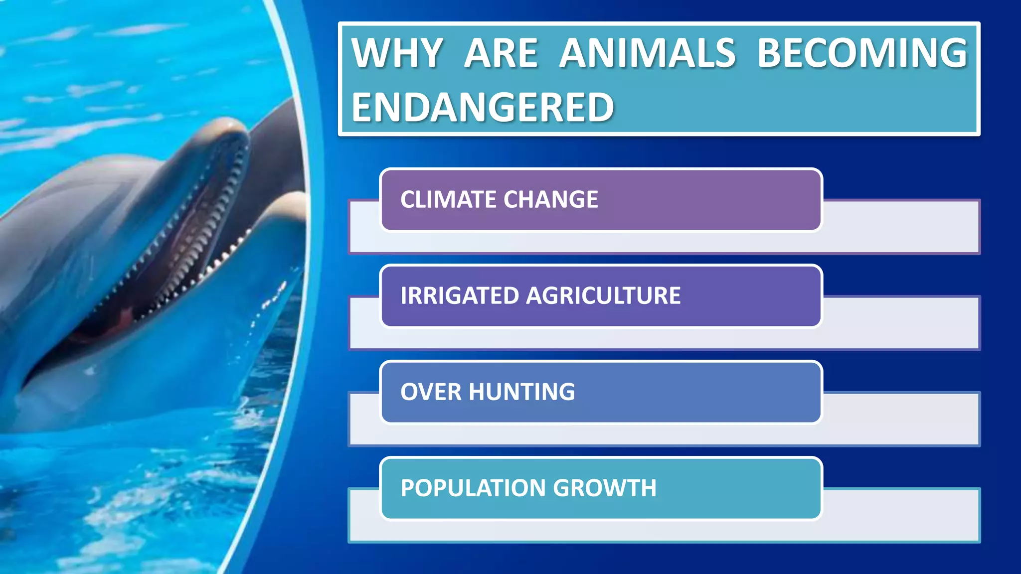 ENDANGERED AND EXTINCT SPECIES IN PAKISTAN | PPTX