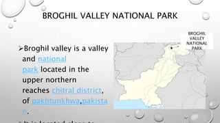 Zoogeography of kpk | PPTX