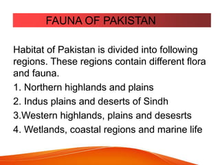 zoogeography of pakistan.pptx fauna of Pakistan | PPTX