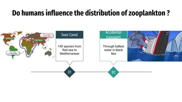 Zoogeography of the Holoplankton.pptx