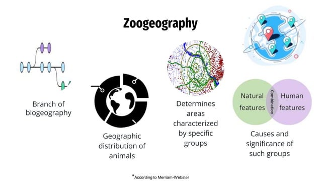 Zoogeography of the Holoplankton.pptx