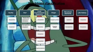 Zoogeography of the Holoplankton.pptx