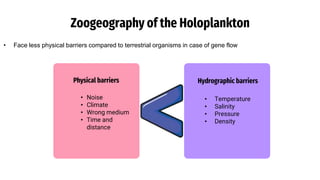 Zoogeography of the Holoplankton.pptx