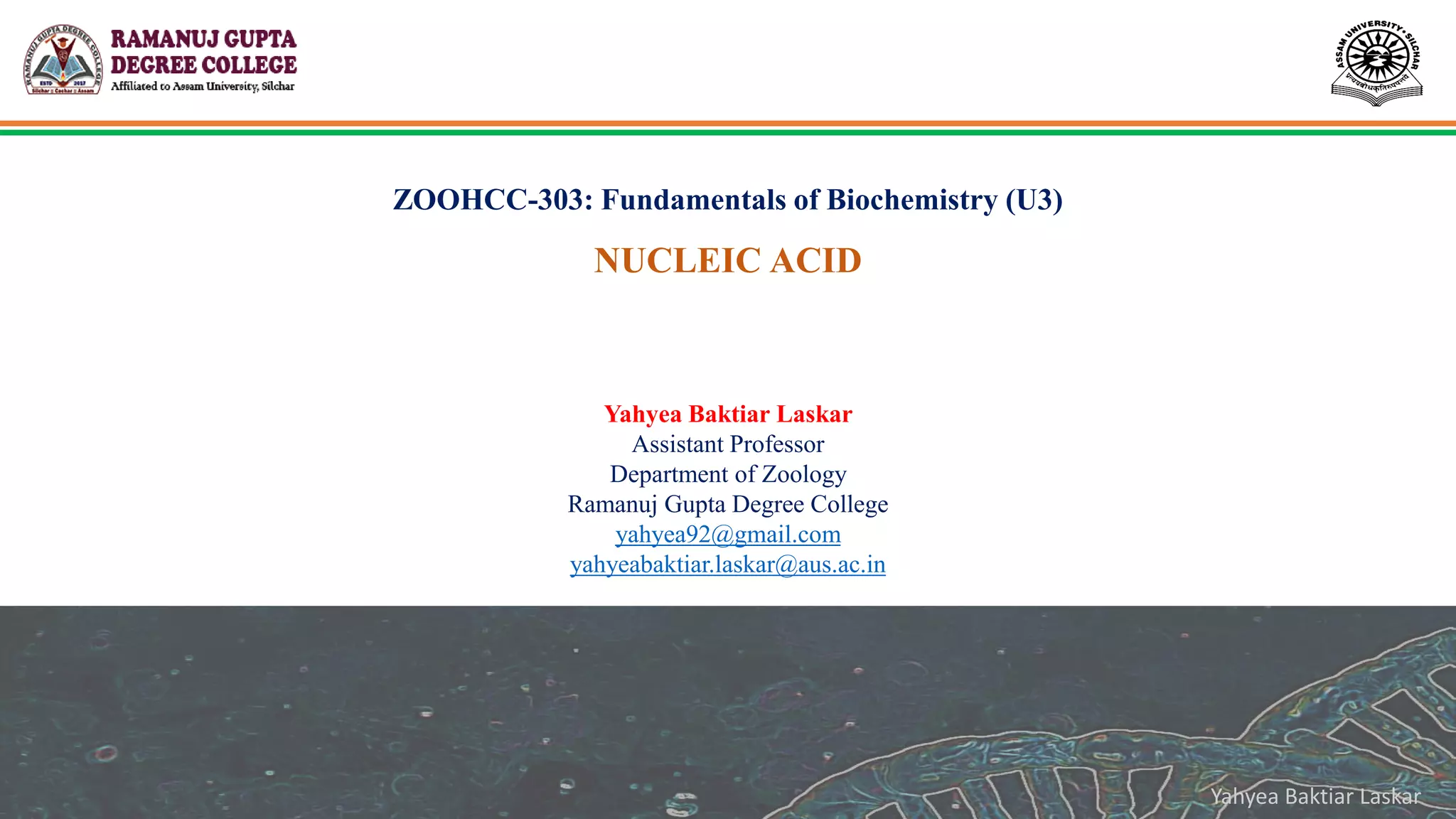 Nucleic acid | PPT