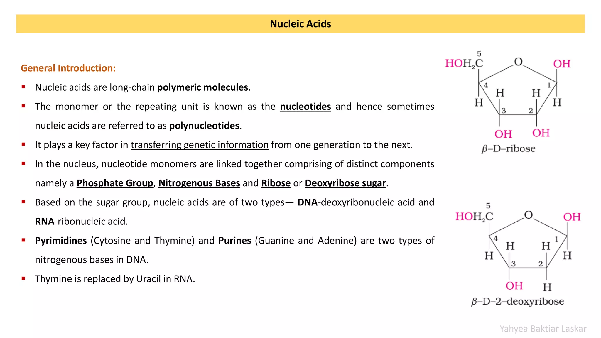 Nucleic acids, their structure, types, and functions | PPT