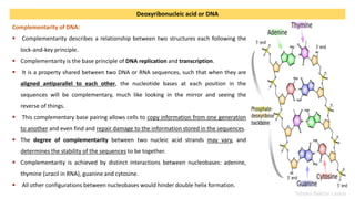 Nucleic acids, their structure, types, and functions | PPT