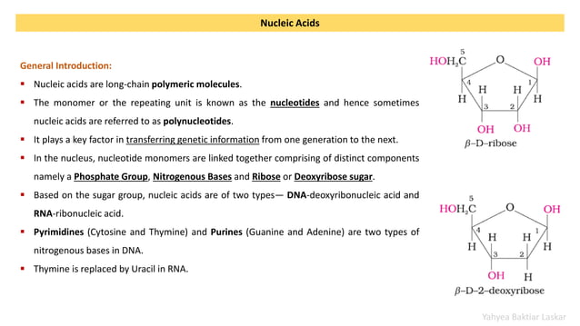 Nucleic acids, their structure, types, and functions | PPT