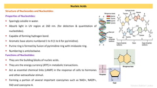 Nucleic acids, their structure, types, and functions | PPT