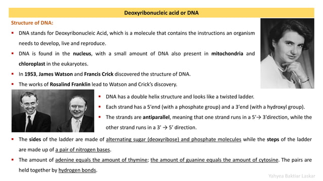 Nucleic acids, their structure, types, and functions | PPT