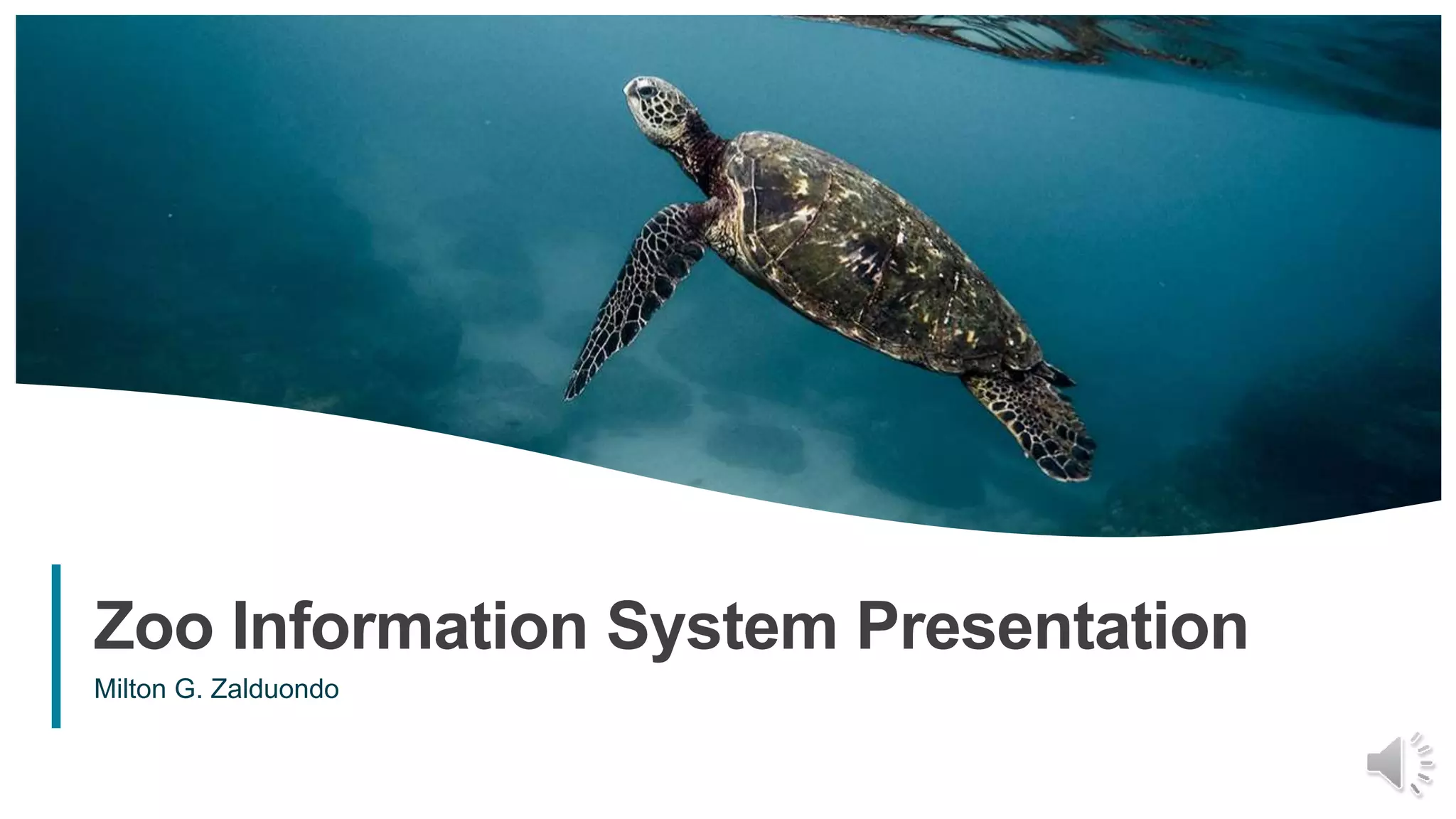 Zoo information system presentation | PPTX