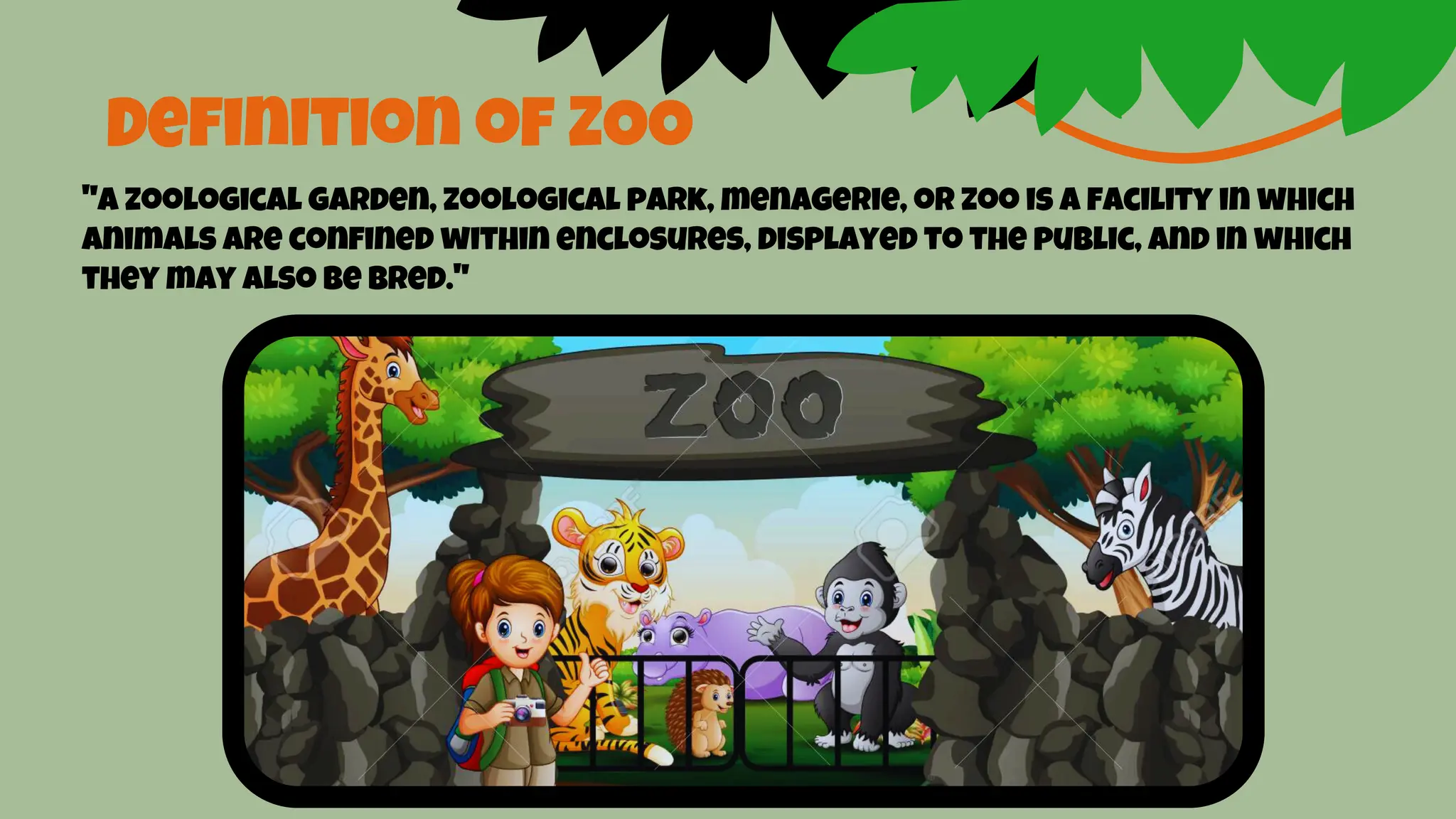 Zoo & its types with their brief..6666pdf | PDF