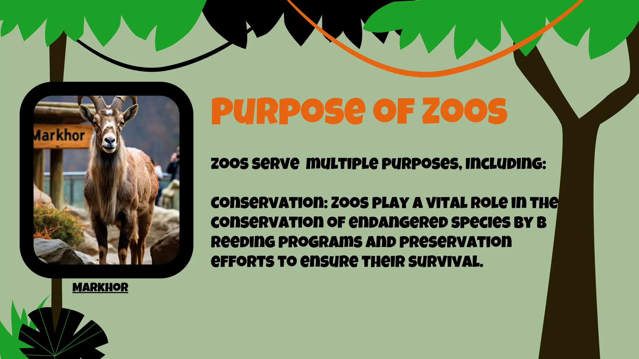 Zoo & its types with their brief..6666pdf | PDF