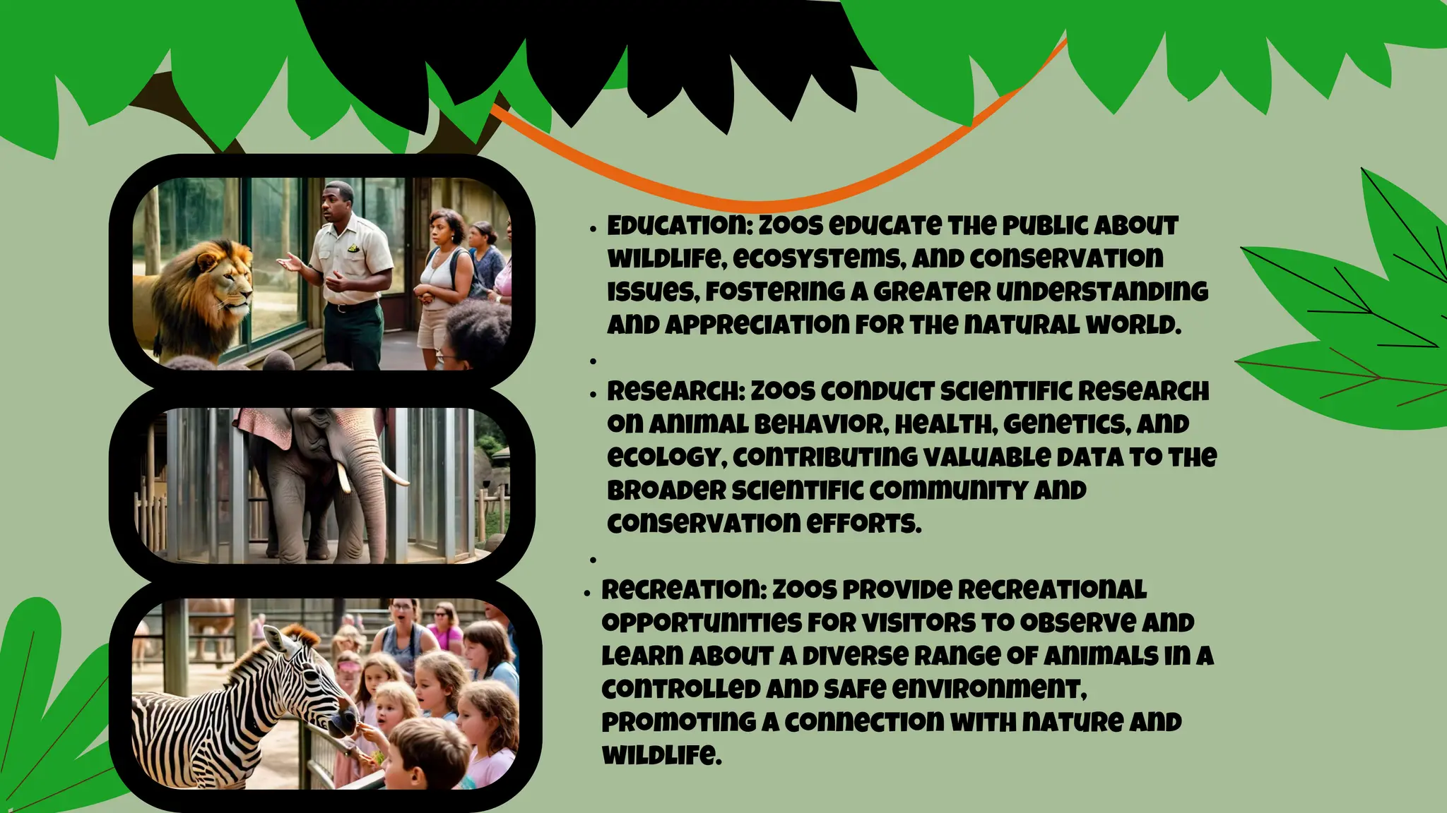 Zoo & its types with their brief..6666pdf | PDF