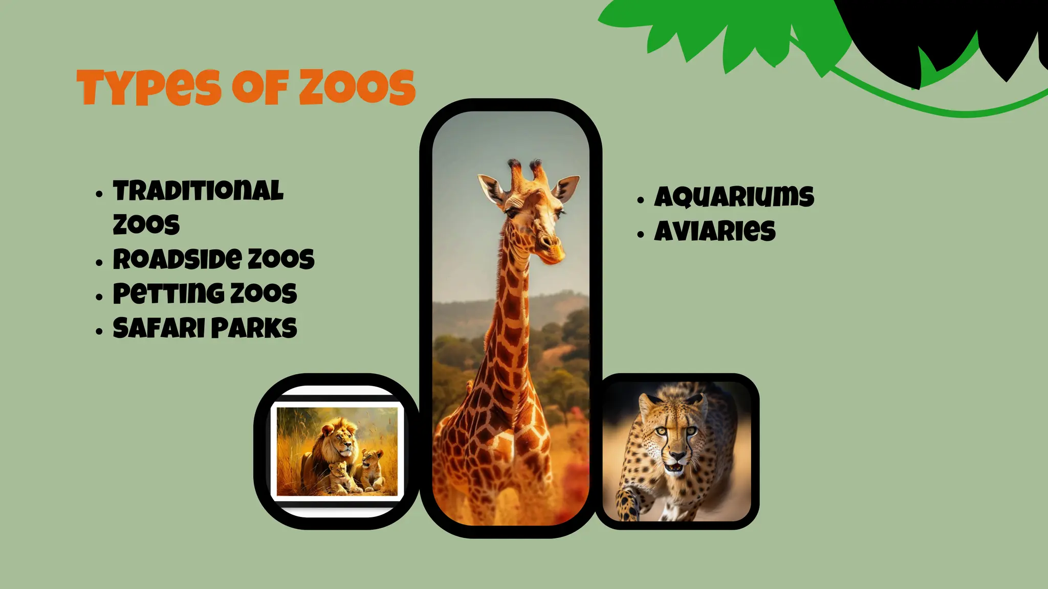 Zoo & its types with their brief..6666pdf | PDF