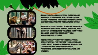 Zoo & its types with their brief..6666pdf | PDF