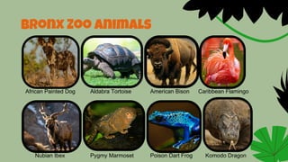 Zoo & its types with their brief..6666pdf | PDF