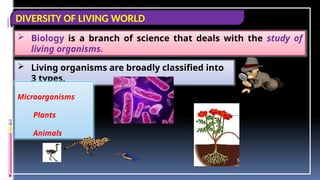 ZOO JR I M01 INTRODUCTION.pptessential topics covered of class 11 ...