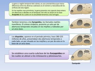 abigail paillacho zoologia reptiles | PPTX