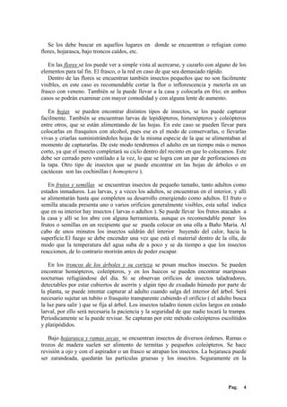 Zoologia guia captura y conservacion de insectos (c) | PDF