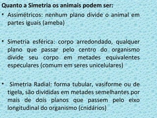 Zoologia 01 | PPT