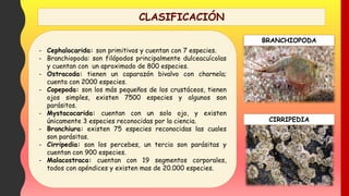 Artrópodos-Clase Crustácea | PPTX